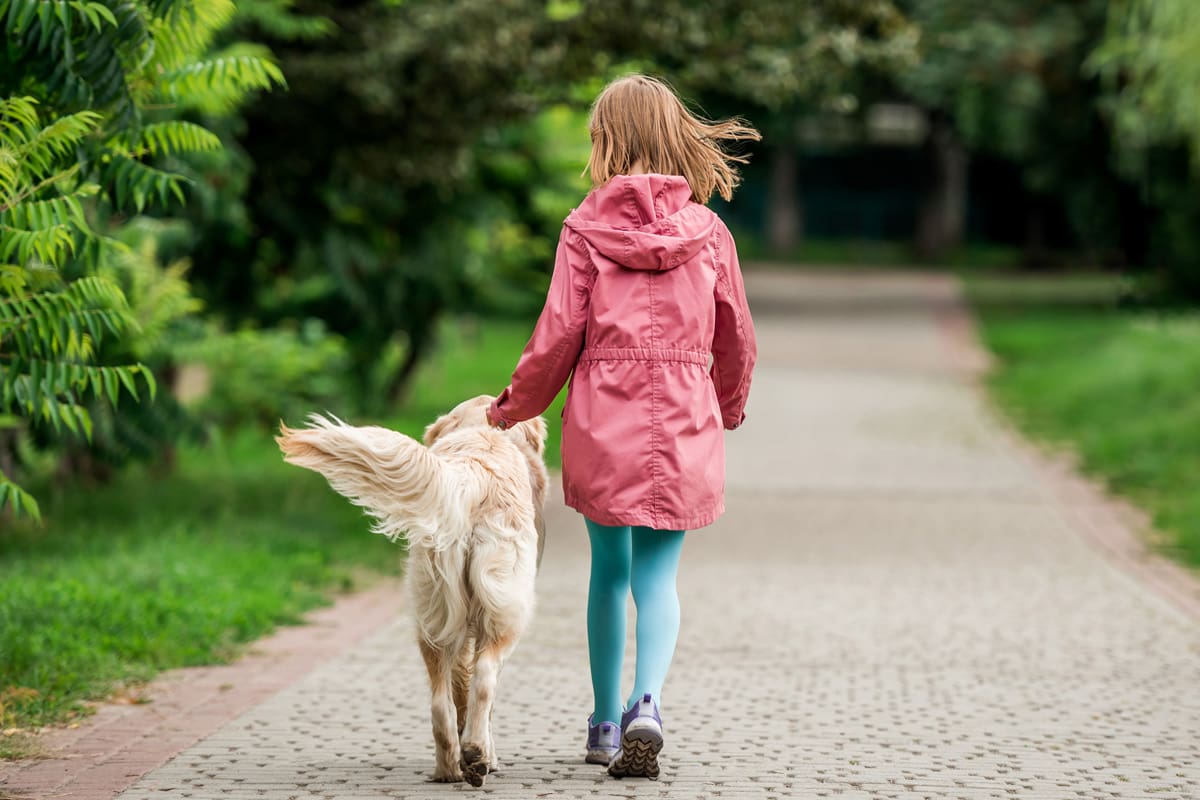 10 Things That Only the Brainiest Dogs Can Master - Pet Hub USA