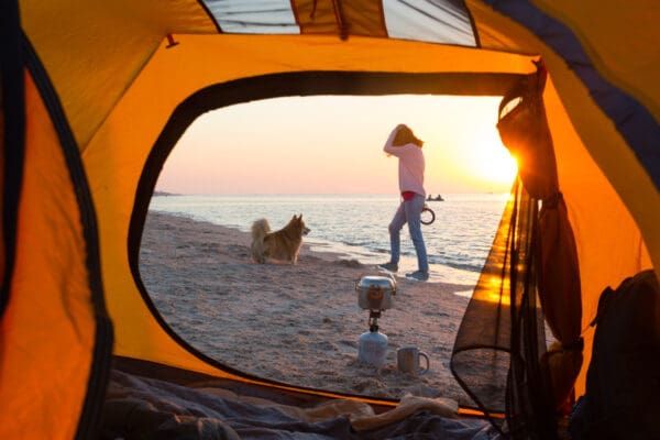 24 Dog-Friendly Vacation Destinations - Pet Hub USA