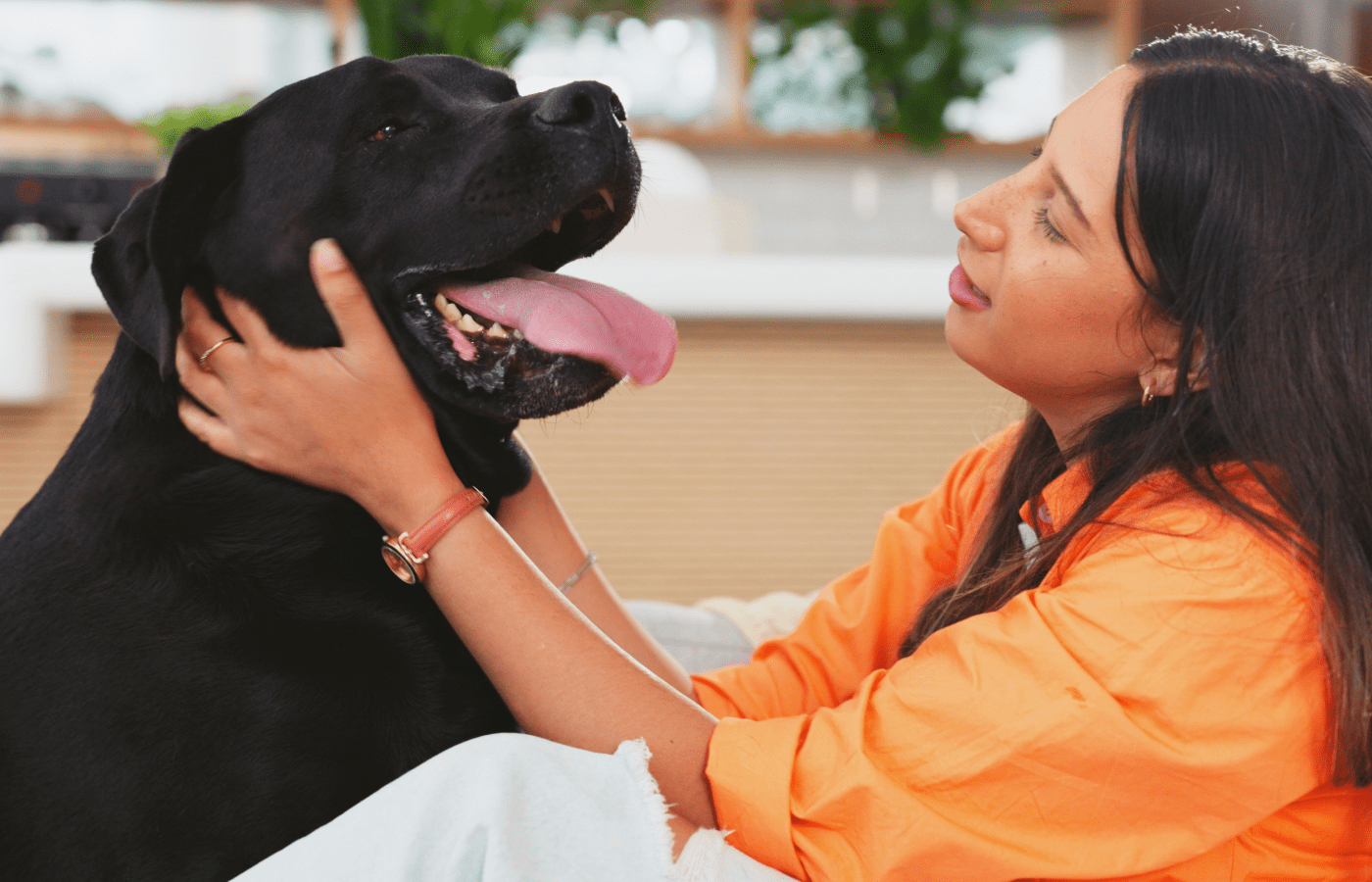 Top 10 Best Therapy Dog Breeds - Pet Hub USA