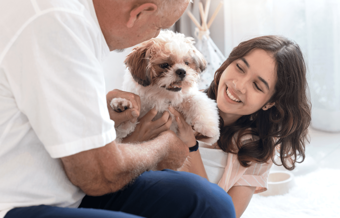 Top 10 Best Therapy Dog Breeds - Pet Hub USA