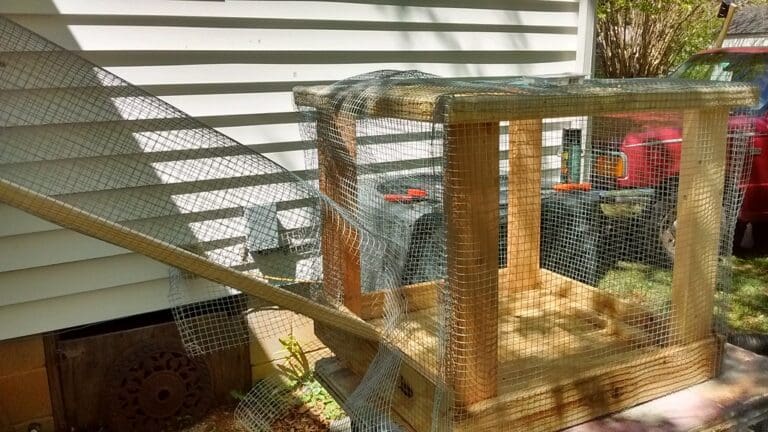 10 Features to Include in a Catio - Pet Hub USA