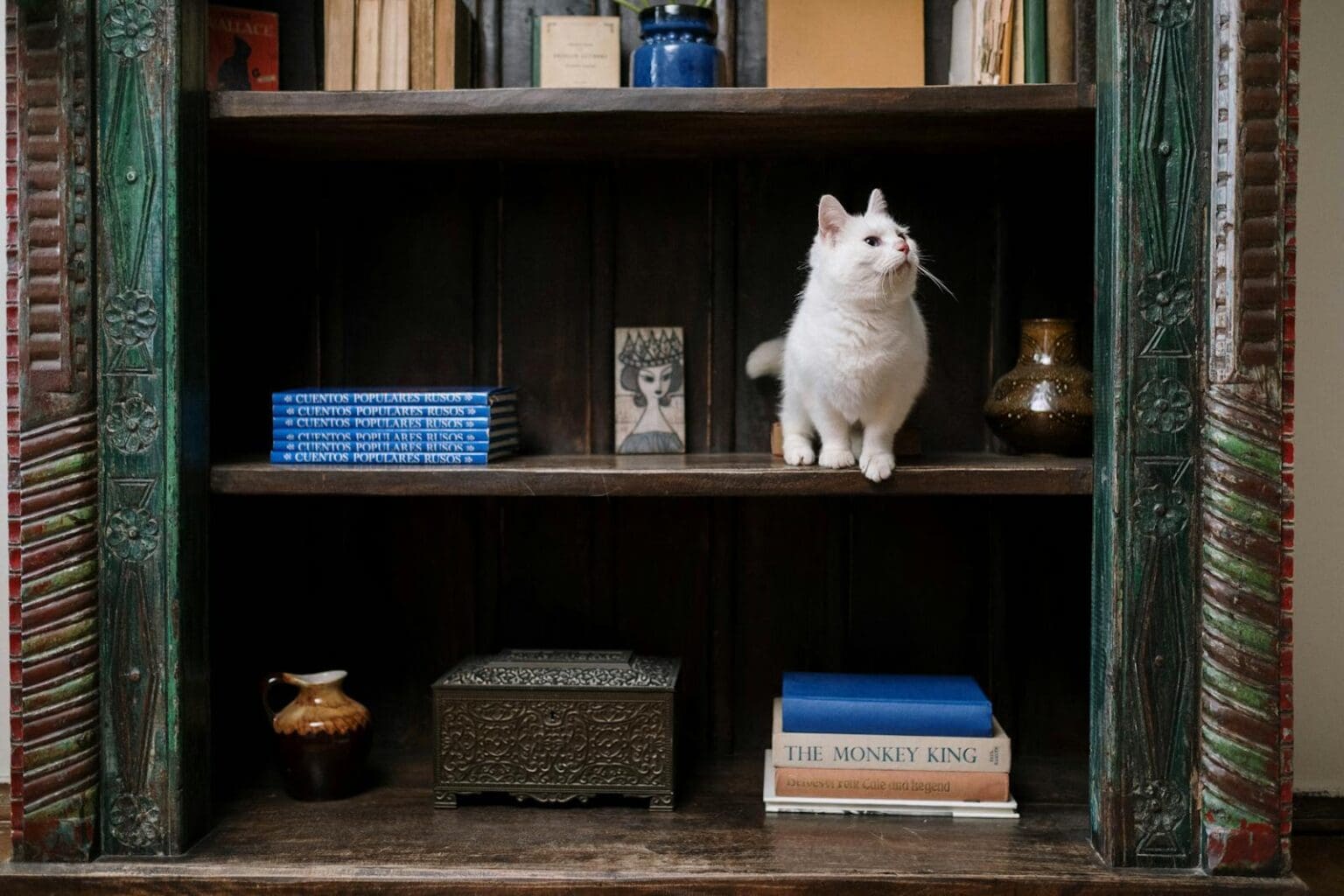 Top 10 Hacks That Will Transform Your Lazy Indoor Cat into an Energetic ...