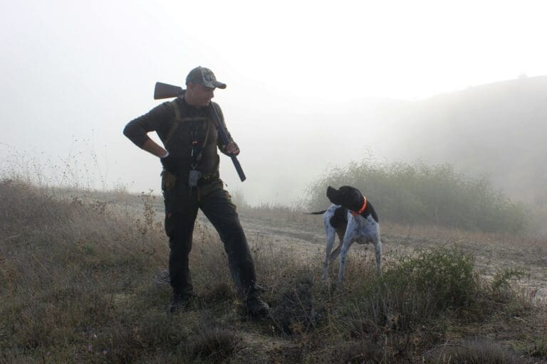10 Ways Dogs Have Saved Humanity from Extinction - Pet Hub USA