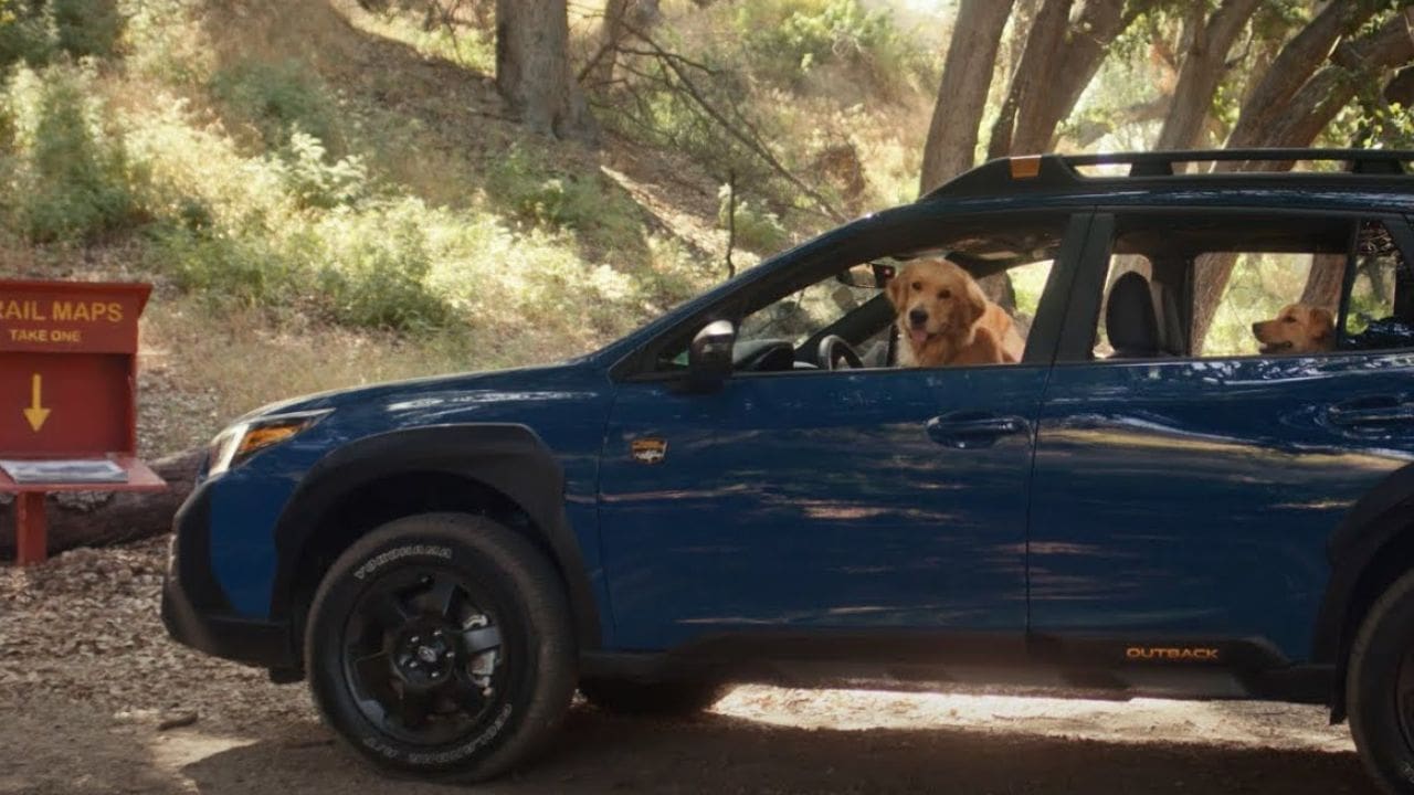 10 Best Cars for Pet Owners—And What to Look For - Pet Hub USA