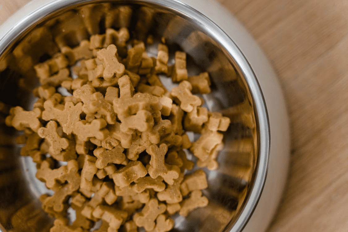 2025’s Top Pet Trends: What’s New in Nutrition, Tech, and Enrichment ...