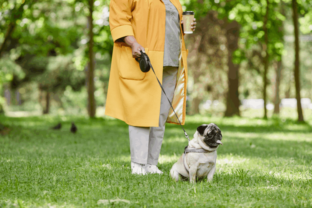 Are Retractable Leashes Dangerous? What Experts Say in 2025 - Pet Hub USA